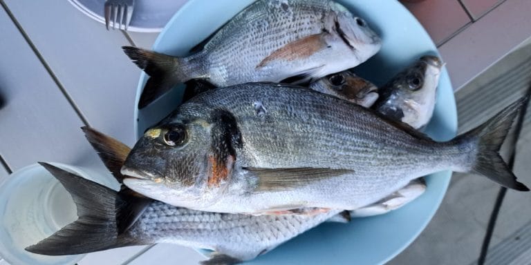 Orada v foliji? Recept, ki vas bo prepričal, da ni treba v restavracijo