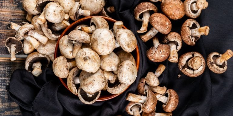 Tako posušite gobe, da bodo dišale po gozdu še sredi zime
